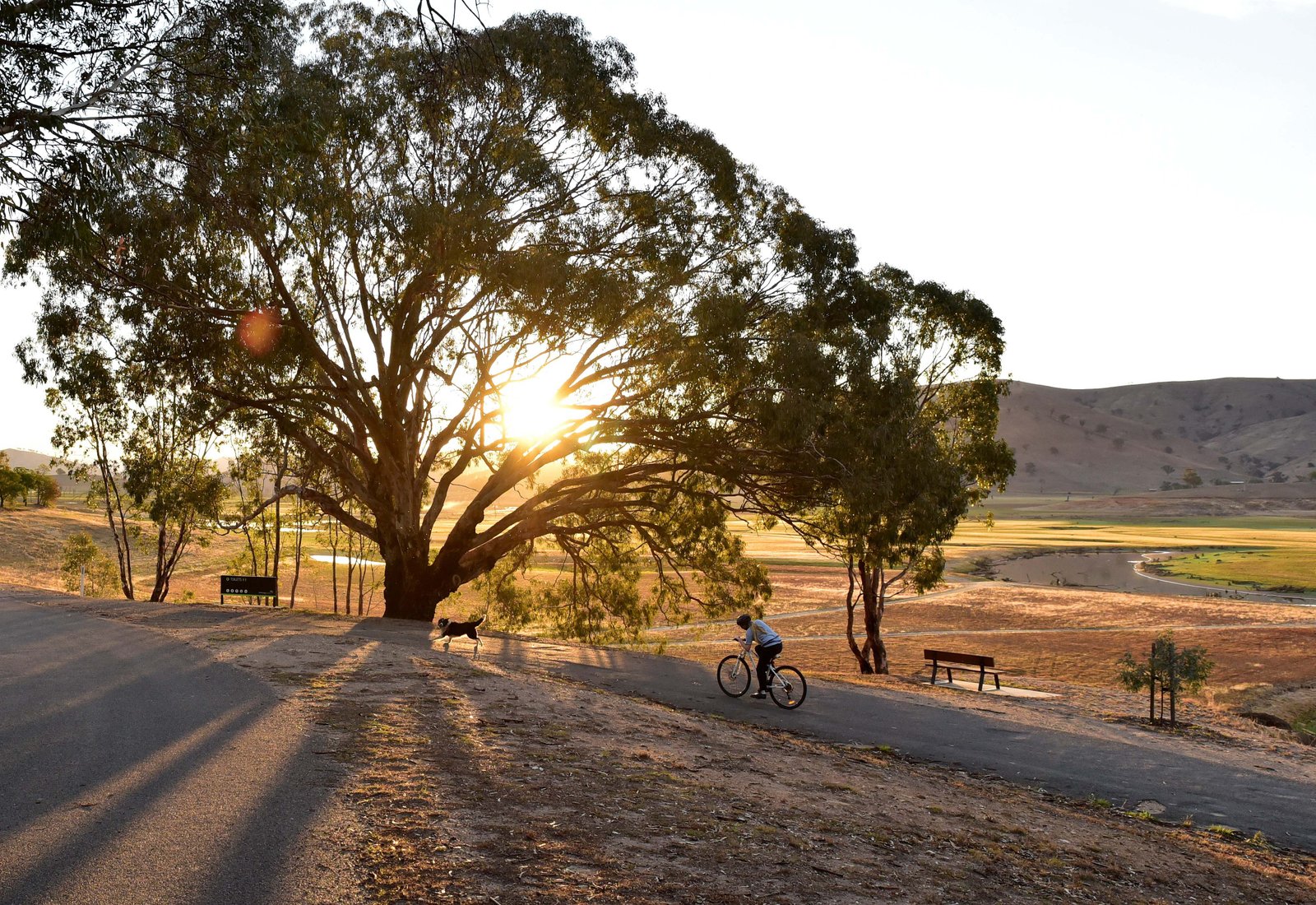 Northern destiny - Live Country